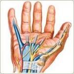 Nerve Repair - Hand and Wrist Surgery - Cypress, Tomball, Katy, Houston TX